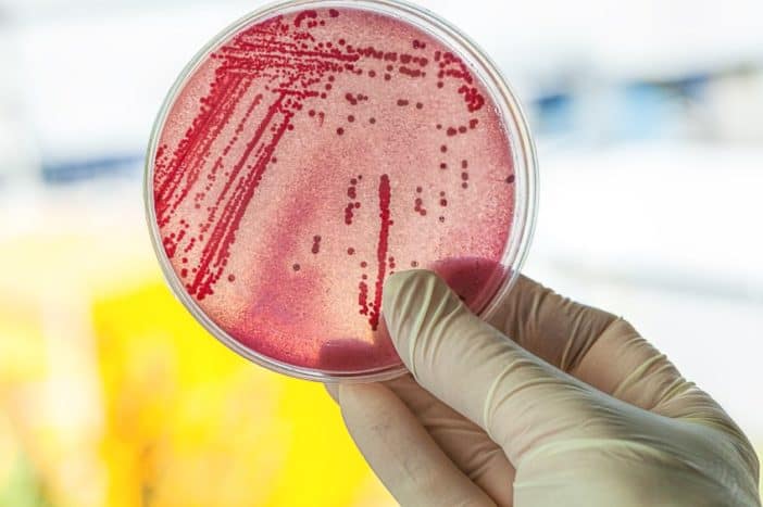 Antiseptic Barrier Caps Reduce CLABSI
